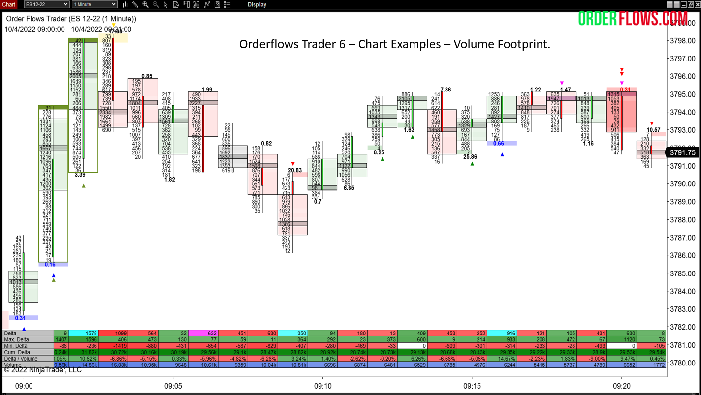 Orderflows Trader